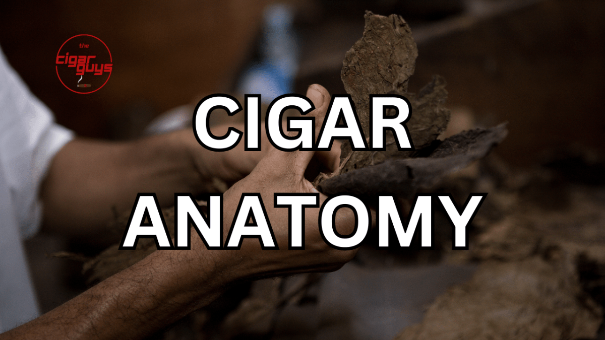 The Anatomy of a Cigar: Understanding the Components and Construction ...
