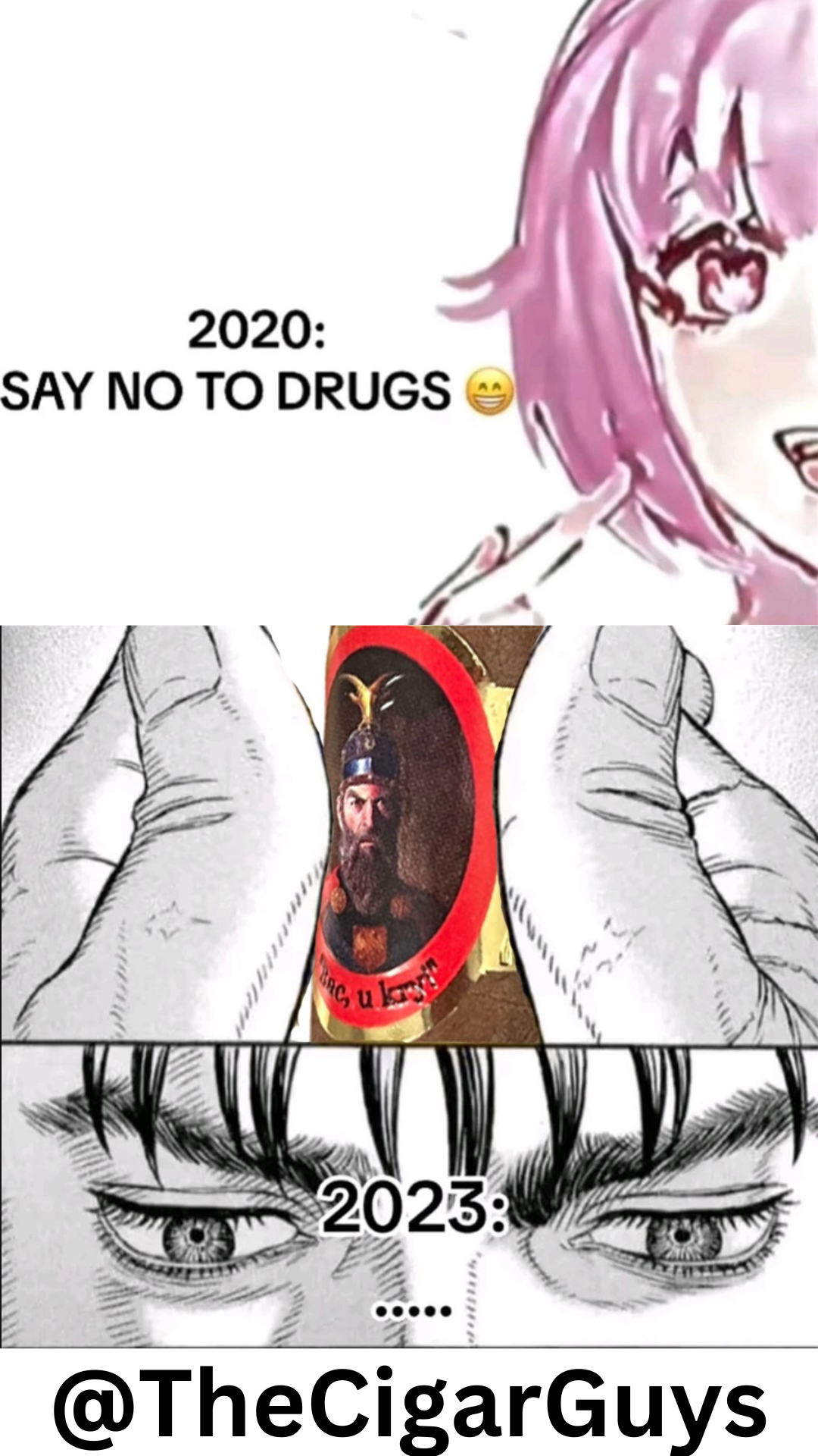 Cigar Memes – The Cigar Guys