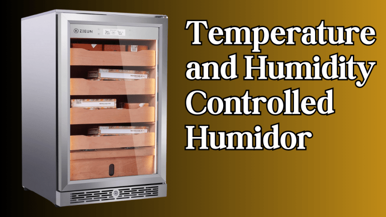 The Essential Guide to Using a Temperature and Humidity Controlled ...